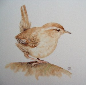 Beautiful British birds. Watercolour paintings by great new Artist Emma ...